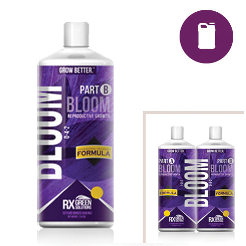 RX Green Solutions Bloom B Concentrate 2.5 Gal – Grow It Depot