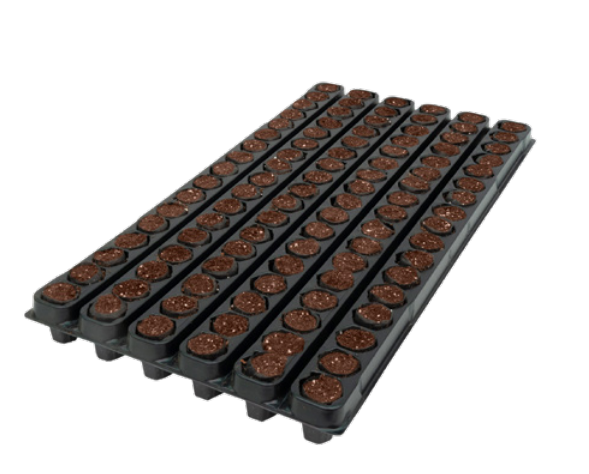 17X6CT OASIS® Fertiss® PlugTray (25x40mm) 384/PLT (39168) – Grow It Depot