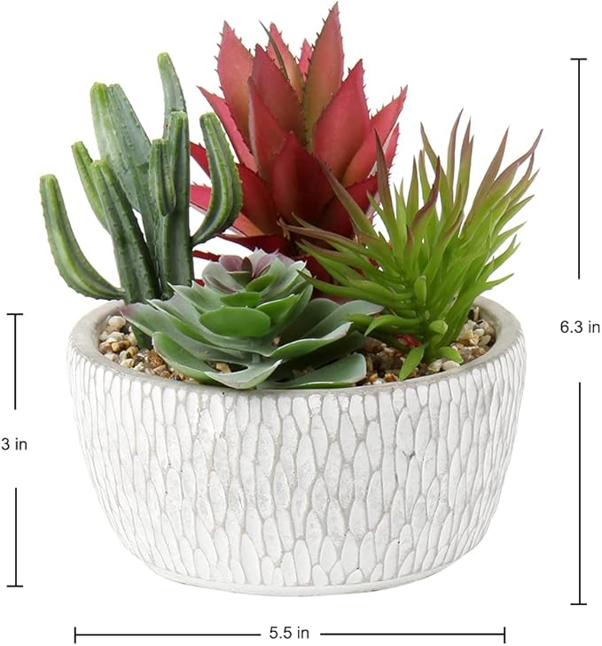 Briful Small Fake Plants Assorted Faux Succulents in Pots Realistic Su ...