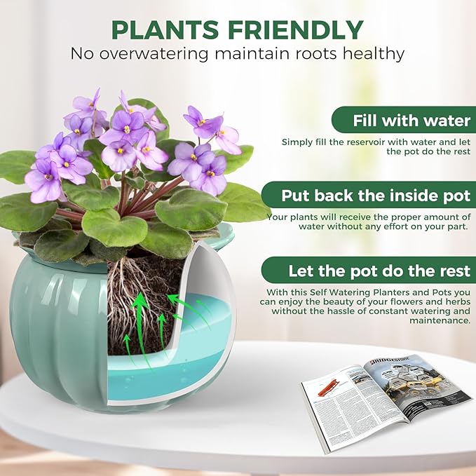 African Violet Pots, 6 inch Pumpkin-Style Ceramic Easy Self Watering P ...