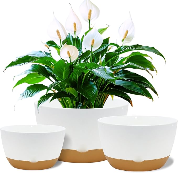 8/10/12 Inch Pots for Indoor Plants, Large Self Watering Planters with ...