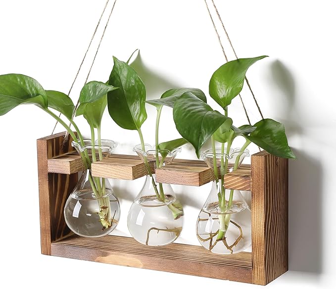 Plant Propagation Station Plant Terrarium Unique Birthday Gifts for Wo ...