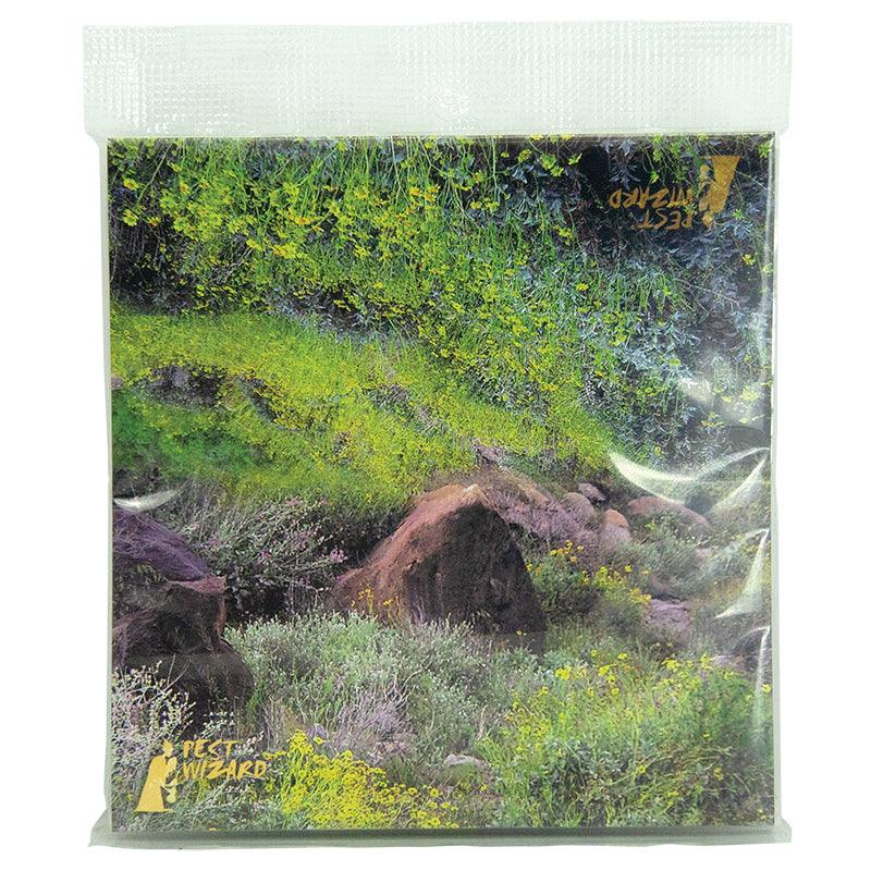 Pest Wizard BUGS in the PANTRY 2-Pack Andreas Canyon – Grow It Depot