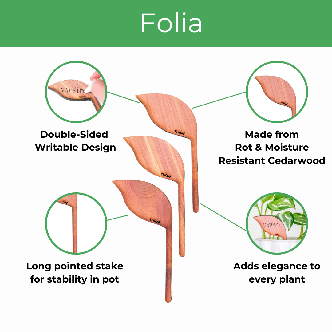 Folia - Wooden plant tags - Leaf-shaped plant labels – Grow It Depot