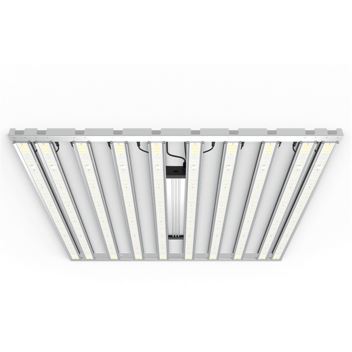 Grand Master LEDs Tarantula Tent Ultimate 5x5 1000W LED Grow Light ...