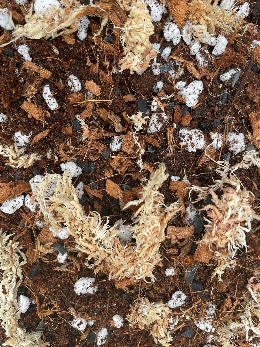 MONSTERA Soil Mix - Houseplant Growing Medium - 3 LB / 2 Gallon – Grow ...