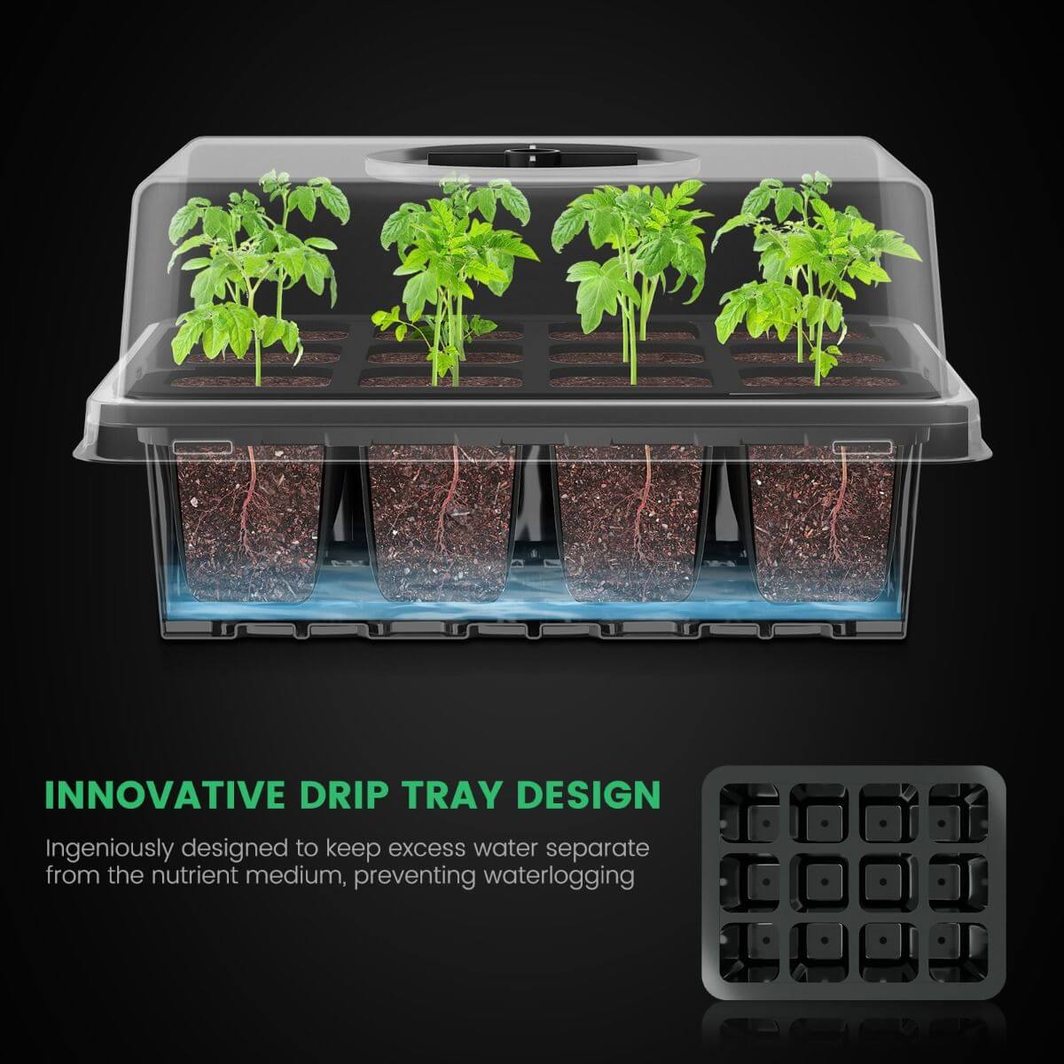 Mars Hydro Seed Starter Trays for Clone Propagation - Set of 4 – Grow ...