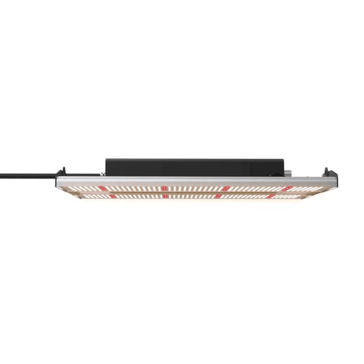 Medic Grow Mini Sun-2 320W Full Cycle LED Grow Light – Grow It Depot