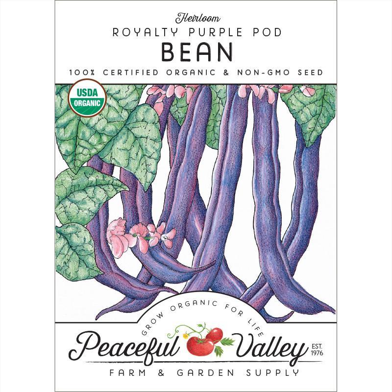 Royalty Purple Pod Bush Bean Seeds (Organic) – Grow It Depot