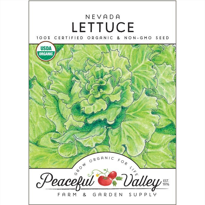 Nevada Lettuce Seeds (Organic) – Grow It Depot