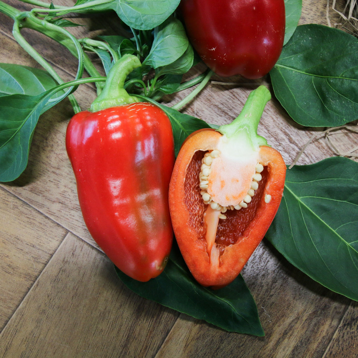 Pimento L Pepper – Grow It Depot