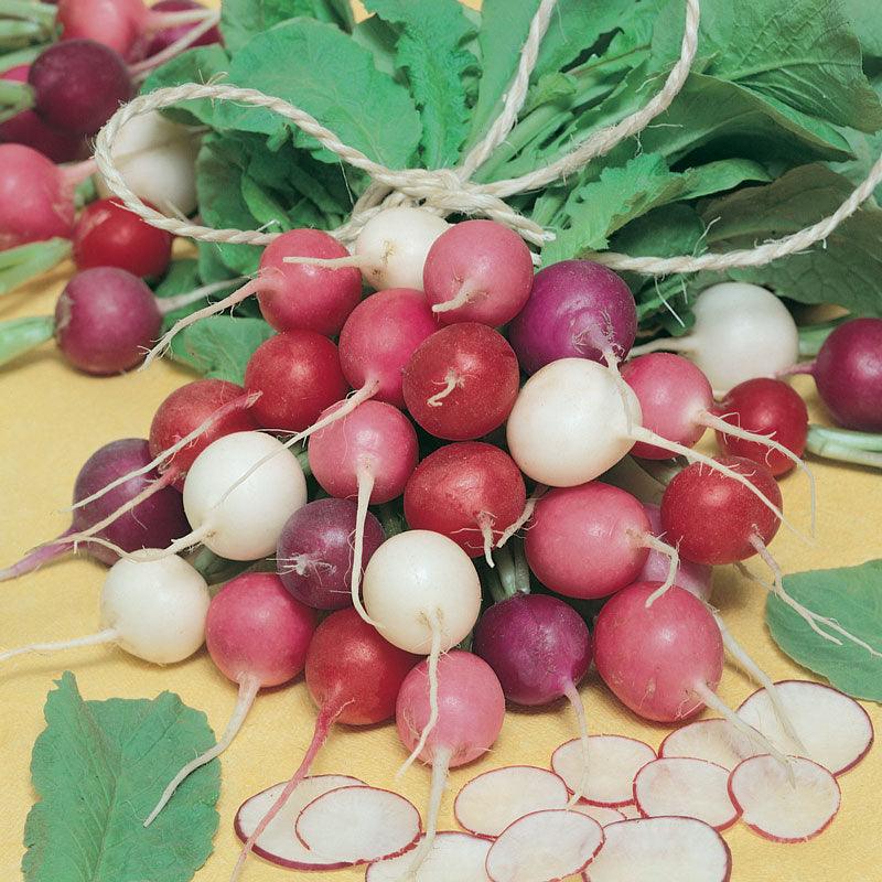 Easter Egg Mix Radish Seeds (Organic) – Grow It Depot
