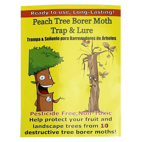 Peach Tree Borer Moth Trap Pack - 2 traps/2 lures – Grow It Depot