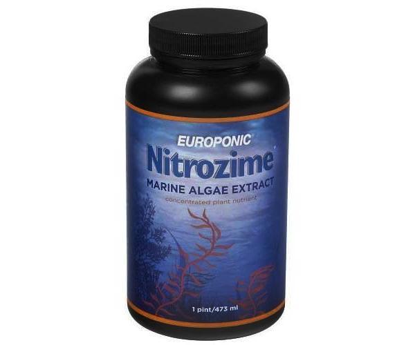Nitrozime 100 ml – Grow It Depot