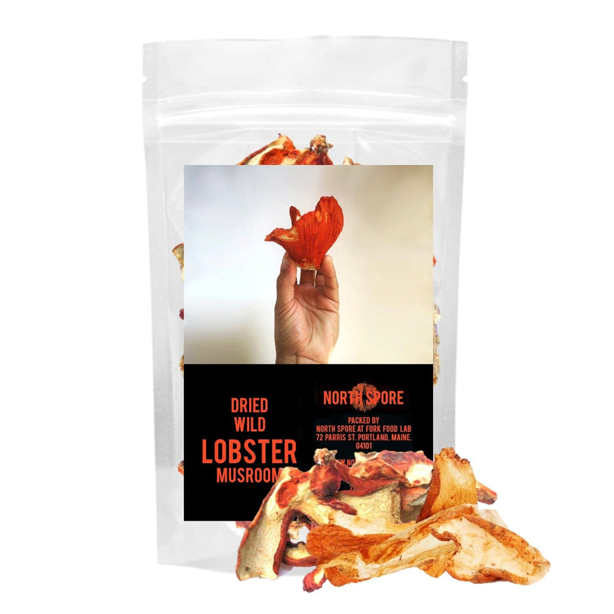 North Spore Dried Wild Lobster Mushrooms - Case of 5 – Grow It Depot